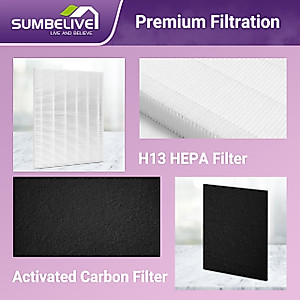 C545 Filter for Winix C545 Filter S, 2 True HEPA Filter + 8 Activated Carbon Filters Part No. 1712-0096-00 and 2522-0058-00