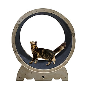 Cat Wheel Cat Exercise Wheel Indoor, Cat Treadmill Wheel, Cat Running Wheel Cat Toy Cats Loss Weight Device Natural Wood Grain