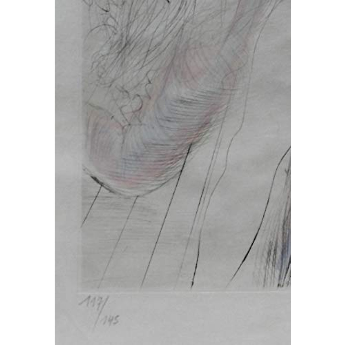 La Venus aux Fourrures Woman on Horse