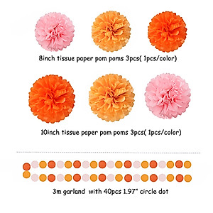 Pink-Orange Groovy Party-Decorations Pom-Poms Streamers - 23pcs Fall Autumn Thanksgiving Harvest Tissue Tassel Garland Banner,Birthday Baby Bridal Shower Engagement Wedding Decor Lasting Surprise