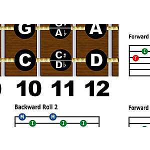 Dobro Open D Tuning Resonator Guitar Fretboard Note & Rolls Chart - Beginners & Intermediate Instructional Easy Poster Chords 11x17 | A New Song Music