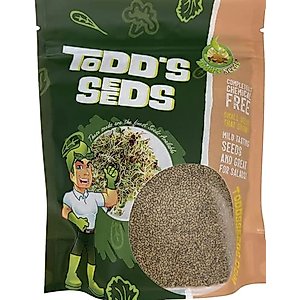 Todd’s Seeds - Alfalfa Sprouting Seeds - Easy to Grow Bulk Alfalfa Seeds - Fast Growing Seeds with High Sprout Germination (1/4 Pound)