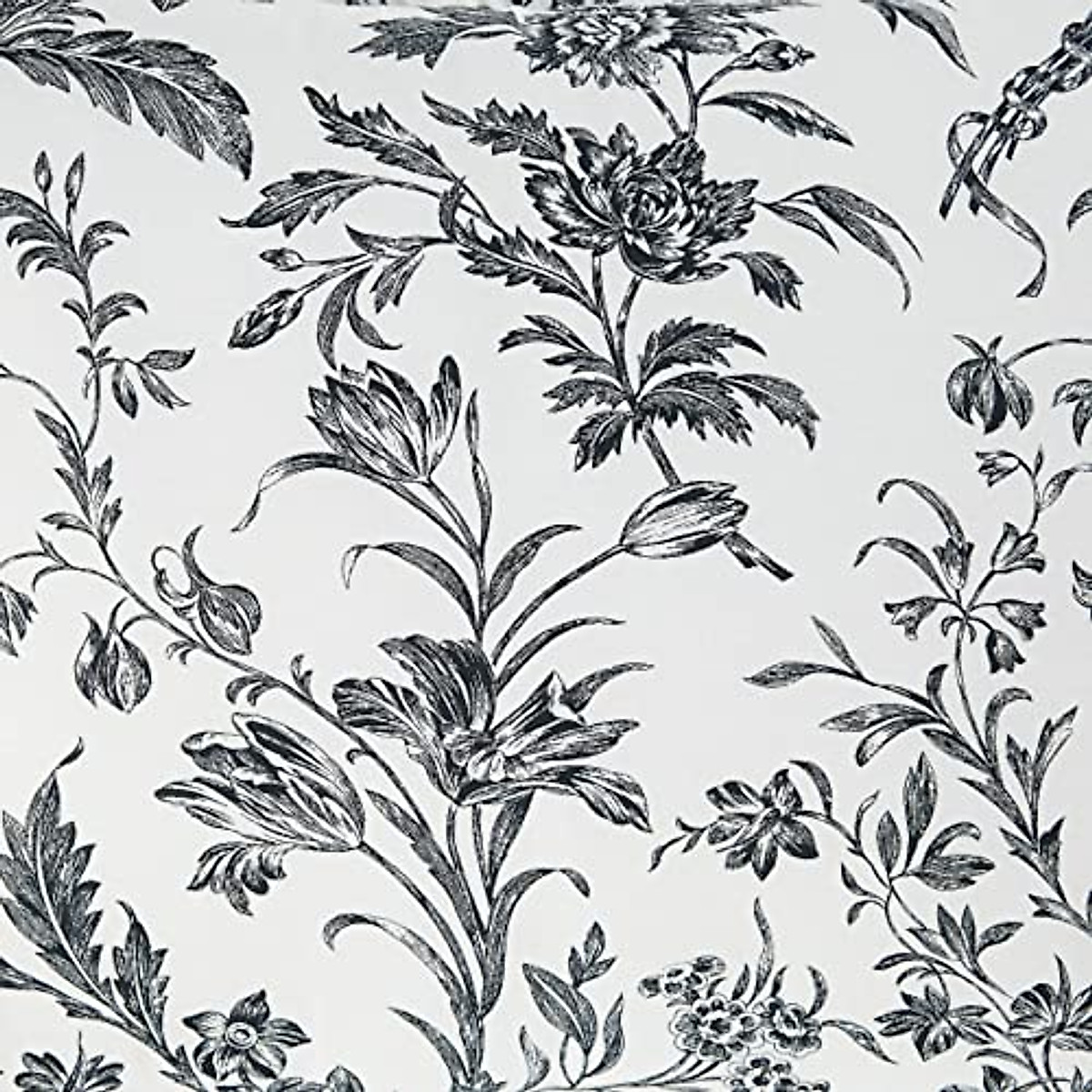 Laura Ashley - Queen Comforter Set, Reversible Cotton Bedding, Includes Matching Shams with Bonus Euro Shams & Throw Pillows (Amberley Black/White, Queen)