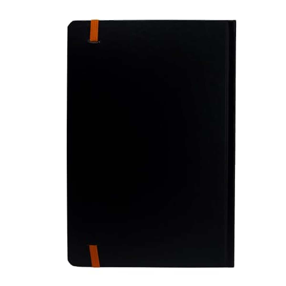 Metodo Financeiro Do Primo Rico (Em Portugues do Brasil)