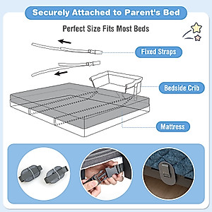HONEY JOY 4 in 1 Baby Bassinet Bedside Sleeper, Playpen & Baby Crib w/Mattress, 5 Adjustable Heights, Easy to Assemble Bed to Bed, Portable Baby Bassinet for Infant to Toddler, Deep Gray