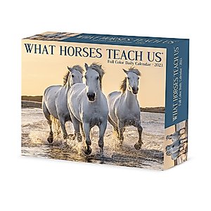 What Horses Teach Us 2023 Box Calendar