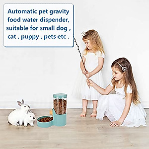 Rypet Rabbit Automatic Feeder, 35oz Hanging Automatic Bunny Food Dispenser with Lid for Small Animals,Guinea Pig, Rabbit, Ferret
