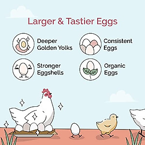 Mile Four | Chicken Scratch | 100% US Grown Grains, Organic, Non-GMO, Soy-Free, Non-Medicated, Whole Grain Chicken Treats for Hens & Roosters | Scratch for Chickens, Ducks & Waterfowl | 23 lbs.