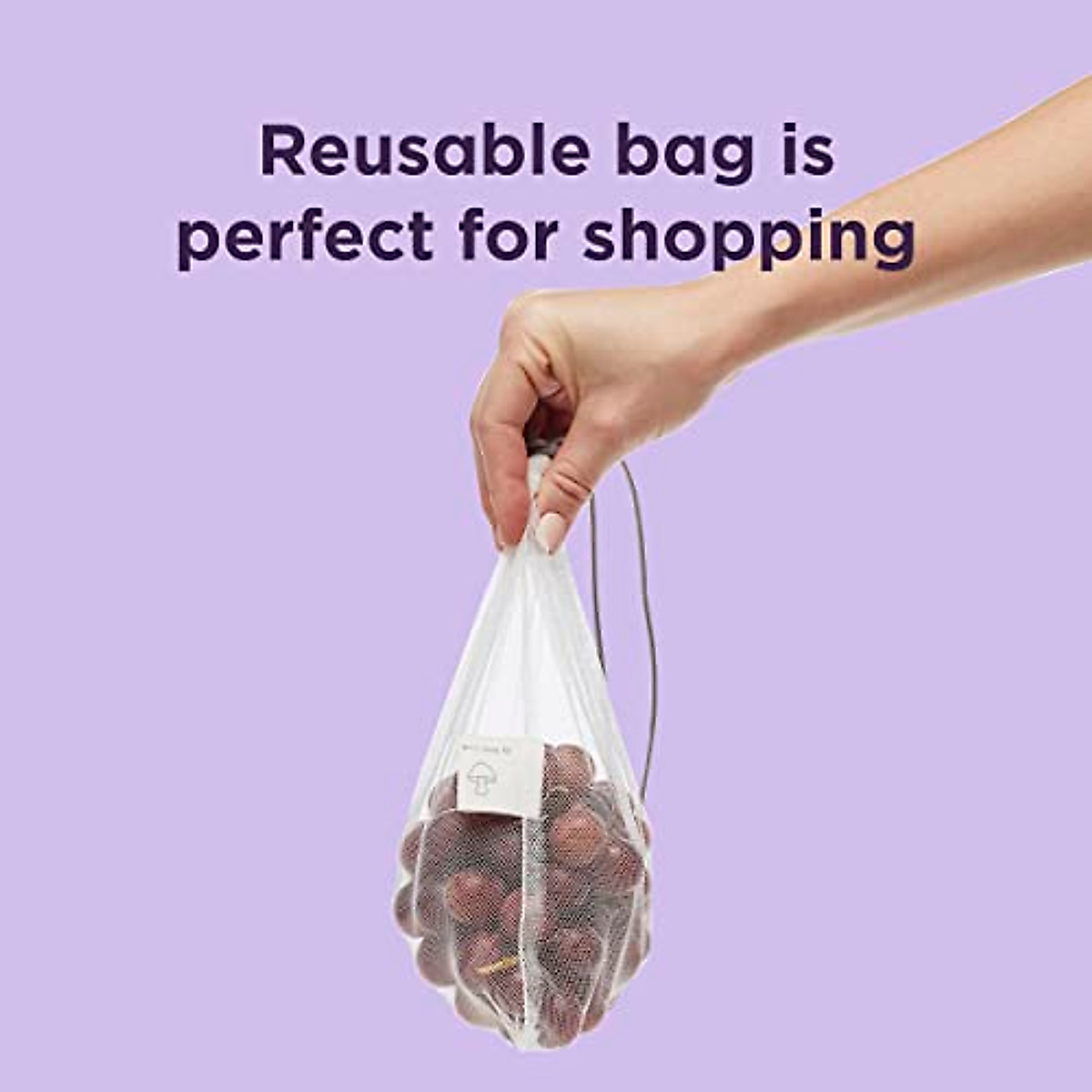 Chef'n Fresh fruit and veggie storage container with bag, size small, Avocado