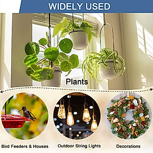 ADIIL 12 PCS String Light Hooks, Q Hanger Hooks with Safety Buckle, Windproof Outdoor Light Hooks for Hanging Patio Lights, Christmas Lights & Plants, 2.2 Inches, Black