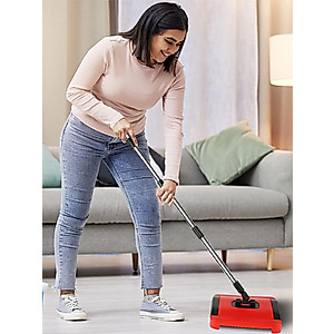 Carpet Floor Sweeper with Horsehair, Manual Carpet Sweeper Cleaner, Non-Electric Carpet Broom Sweeper Efficient Hand Push Carpet Sweeper Rug Roller Brush Push for Cleaning Pet Hair Loose Debris Lint