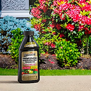 Spectracide Immunox Multi-Purpose Fungicide Spray Concentrate For Gardens 16 Ounces, Protects Up To 2 Weeks