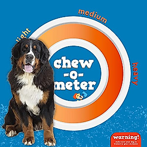 Jack&Pup Knuckle Dog Bones for Aggressive Chewers | Roasted Beef Dog Bones for Large Dogs | Large Meaty Dog Treats - All Natural Gourmet Dog Treat Chews (4 Pack)