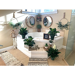 Peace Lily Plant-Friendship Foliage's Family Farm Grown Quality Live Indoor Spathiphyllum (6" Pot)