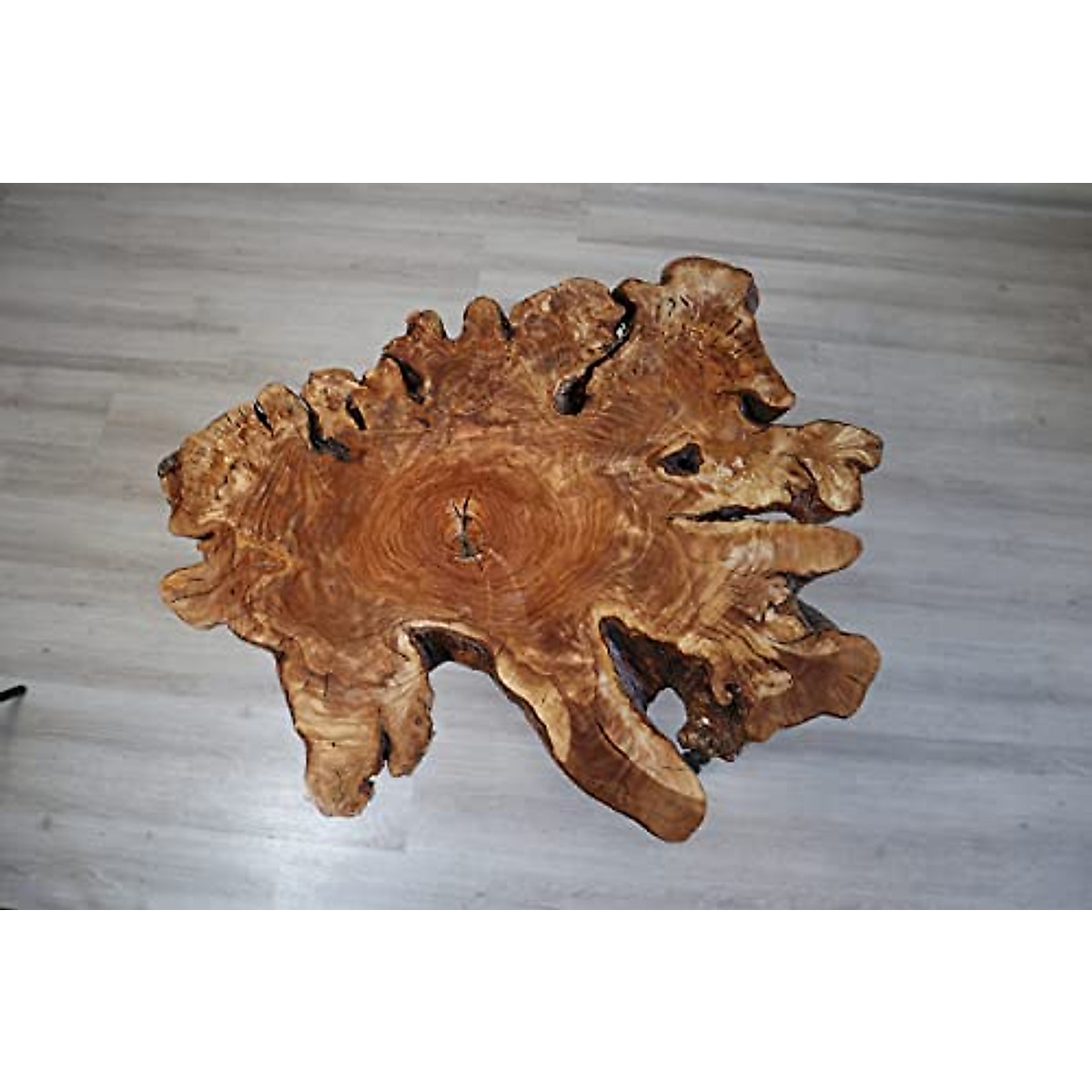 Live Edge Olive Tree Root Amazing Naturally Form Wood Slab, Big Coffee Table 79X 77 cm (Handmade)