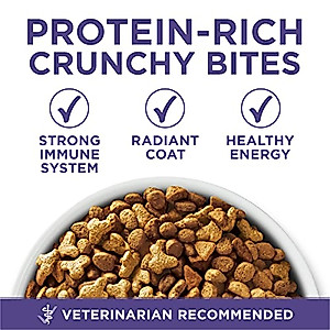 Purina ONE Natural Cat Food for Hairball Control, +PLUS Hairball Formula - 16 lb. Bag