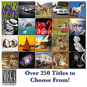 2023 2024 Dalmatian Calendar - Dog Breed Monthly Wall Calendar - 12 x 24 Open - Thick No-Bleed Paper - Giftable - Academic Teacher's Planner Calendar Organizing & Planning - Made in USA