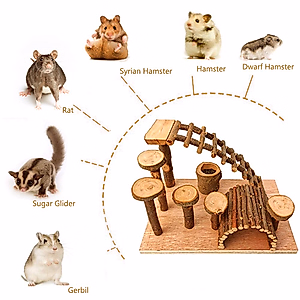 Wooden Hamster Bridge, Small Animals Climbing Ladder Activity Set Platform Ramps Playground Toys for Mouse Dwarf Hamster Gerbil Rat Sugar Glider Syrian Hamster