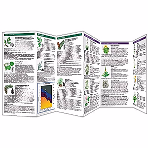 Medicinal Survival Plants of the Rocky Mountains: A Folding Pocket Guide to Familiar Species (Outdoor Recreation and Survival)