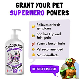 Liquid Glucosamine for Dogs Bacon Flavour Chondroitin, MSM & Hyaluronic Acid K9 Supplement Hip and Joint Formula Advanced Mobility Joint Pain Relief Senior Advanced Supplement for All Breeds 32 oz