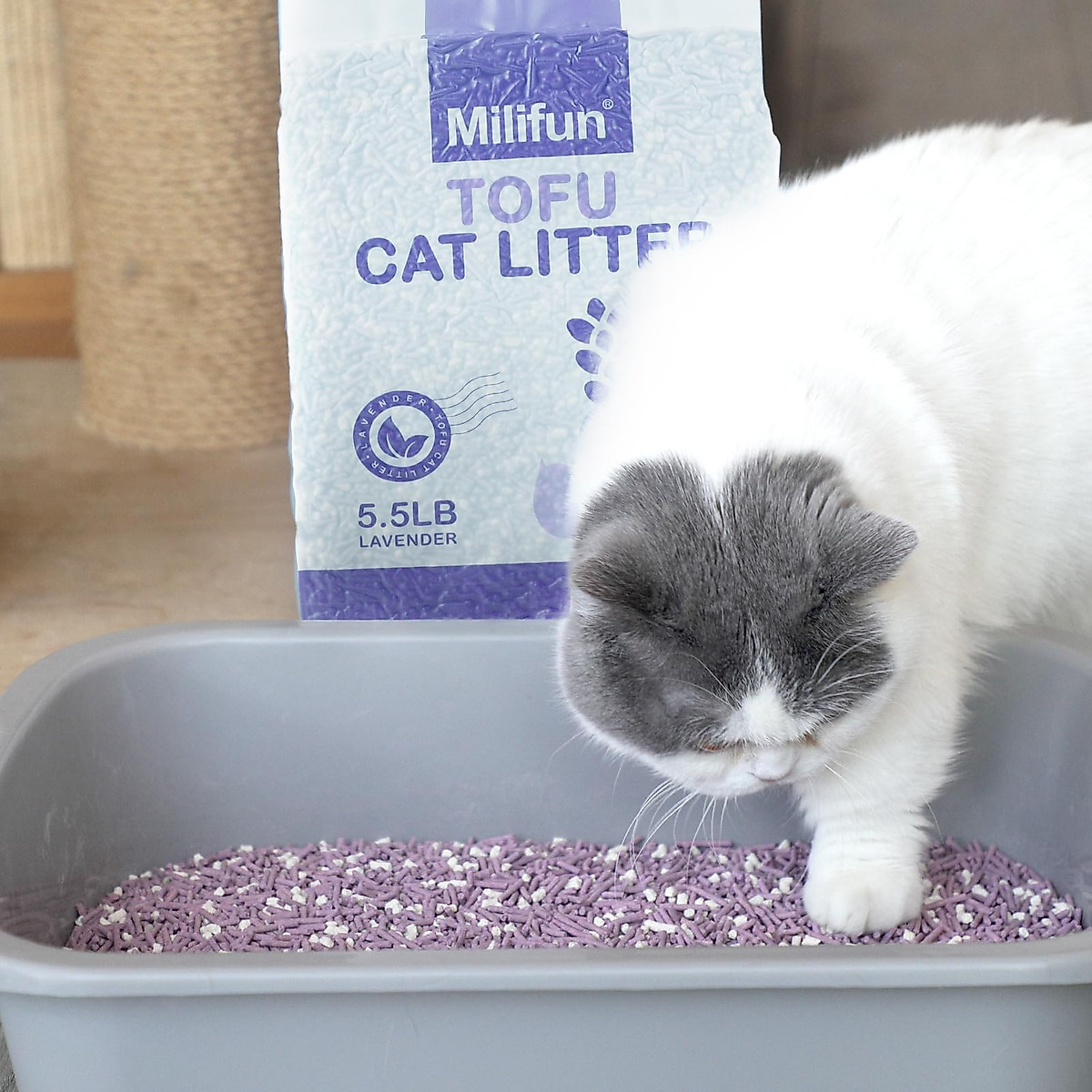 Dust-Free Lavender Cat Tofu Litter - Fast Drying, Ultra Absorbent Clumping Pellets, Less Scattering