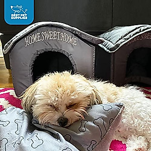 Best Pet Supplies Portable Indoor Pet House – Perfect for Cats & Small Dogs, Easy To Assemble – Silver