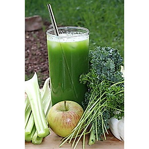 ALINK Stainless Steel Smoothie Straws, 9" X 8mm Set of 4 with Cleaning Brush