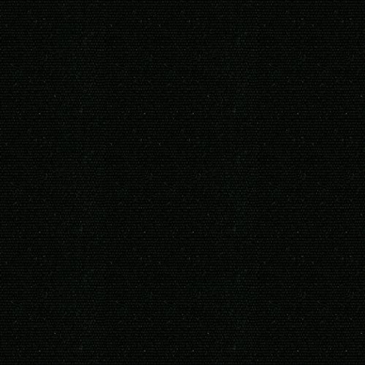 Top Notch Top Notch 9 #2649 Black Fabric by the Yard