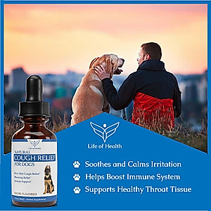 Natural Kennel Cough Treatment for Dogs - Supports Healthy Cough Relief for Dogs of All Breeds & Sizes - Dog Cough Suppressant - Dog Cough Relief - Dog Allergy Relief - Dog Itch Relief - 1 fl oz