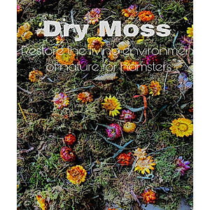 BGUNDI KHZYK 3.5oz Forest Hamster Moss & 1.76oz Hamster Flowers,Hamster Bedding Suitable for Dwarf Hamsters and Syrian Hamsters,Hamster Sprays,Hamster Habitat Decor for Hamster Cage Accessories