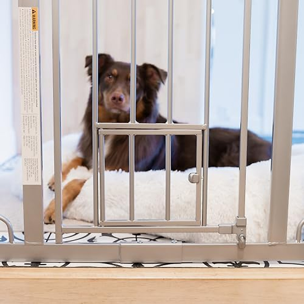 Carlson Extra Tall Walk Through Pet Gate with Small Pet Door, Includes 4-Inch Extension Kit, 4 Pack Pressure Mount Kit and 4 Pack Wall Mount Kit, Platinum, Gray