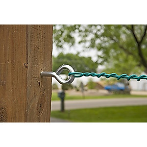 National Hardware N197-244 V2151 Lag Screw Eye in Stainless Steel,3/8" x 4-1/2"