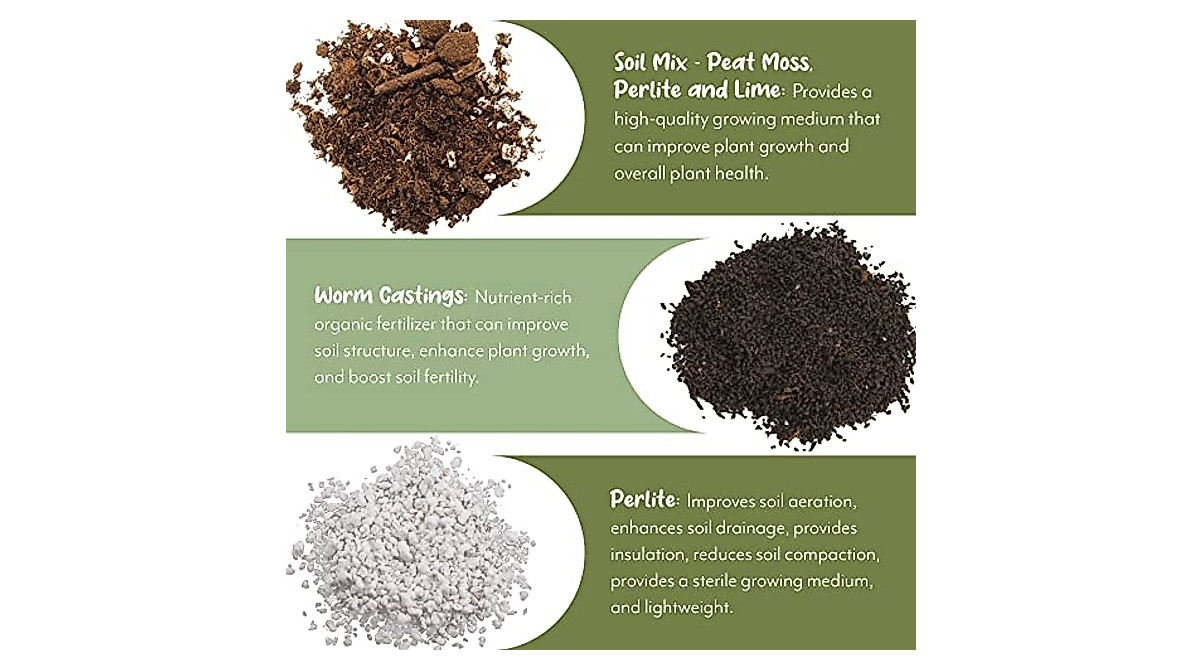 Lucky Bamboo Plant Potting Mix - Organic Soil for Growth
