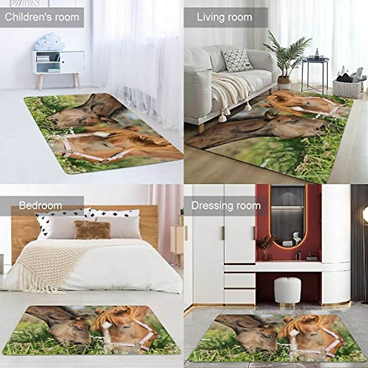 ERUXUGB Cutest Baby Animals | Horse Colt Coral Velvet Floor mat（150×100cm）