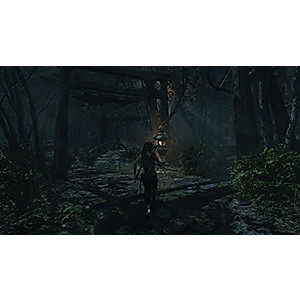 Third Party - Tomb Raider - Definitive Edition Occasion [ PS4 ] - 5021290067899