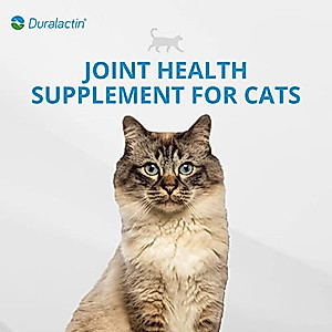 PRN Pharmacal Duralactin Feline Capsules - Cats & Kittens Joint Health and Relief Gelatin Capsules with Dried Milk Protein - 60Ct