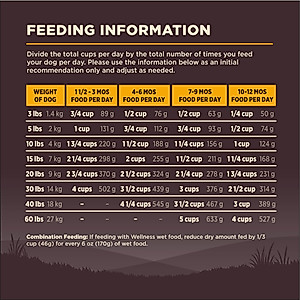 Wellness CORE Natural Grain Free Dry Dog Food, Puppy, 4-Pound Bag