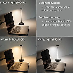 Barryca Rechargeable Cordless Table Lamp, Small Portable LED Battery Operated Light, IP54 Outdoor Waterproof, for Home Restaurant Dinning Bar Patio Kitchen Party (2Pack Black)