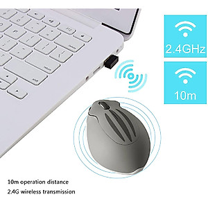 Wireless Mouse Cute Cartoon Animal Hamster Shape Silent Mouse Portable 1200DPI USB Cordless Mice for PC Mac Laptop Computer Gift for Kids Woman Adults
