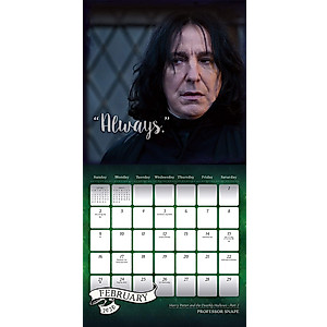 Harry Potter 2020 Wall Calendar