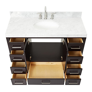 ARIEL Bathroom Vanity 48" Espresso with 2" Edge Italian Carrara Marble Countertop & Backsplash, Center Oval Sink, 2 Soft Closing Doors, 9 Full Extension Dovetail Drawers, Brushed Nickel