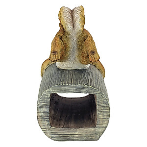 CRASH THE SQUIRREL RAIN GUTTER