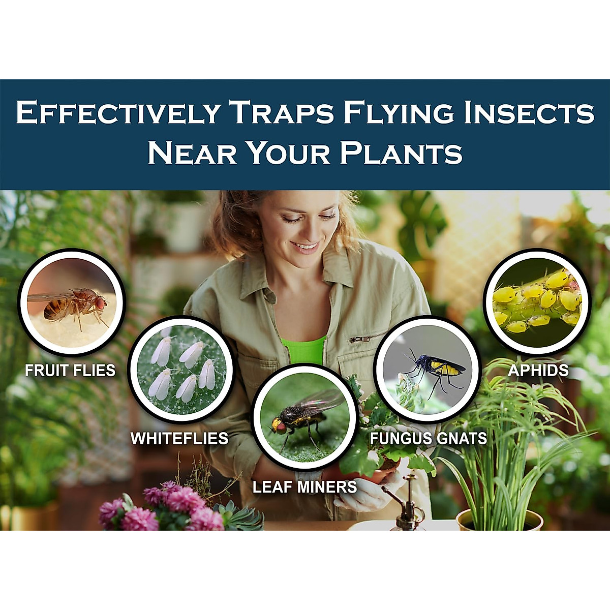 MaxGuard (30 Pack) Yellow Sticky Hanging Traps - Catch and Kill Fungus Gnats, Whiteflies, Mosquitos, Aphids, Leaf Miners, Flying Insect Catcher Glue Trappers for Indoor or Outdoor