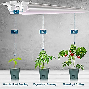 Barrina 2FT T8 Grow Light, 144W(6 x 24W, 800W Equivalent), Full Spectrum Sunlight Plant Light, LED Grow Light Bulbs for Indoor Plant Growing,with V-Shaped Reflector, Pinkish White, 6-Pack