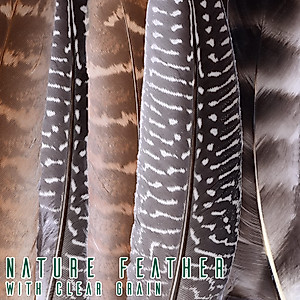Natural Turkey Spotted Feathers for Crafts Pheasant Feathers DIY Wedding Home Party Decorations 36Pcs