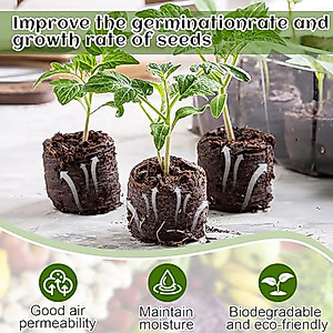 200 Pcs Peat Pellets - 30mm Seeds Plant Starting Plugs, Compressed Nutrient Fertilizer Fiber Soil Block, Plant Pods Bulk for Seedling Transplanting Herb Flower Vegetables