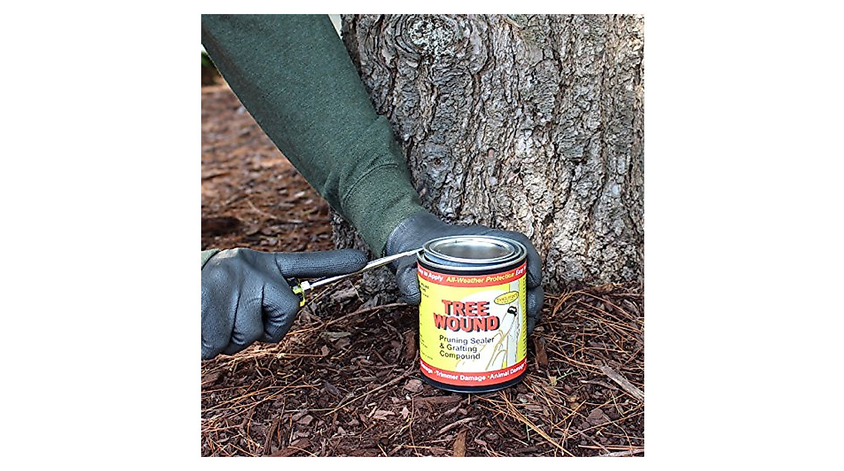 Tanglefoot Tree Wound Sealer: Protect & Heal Trees
