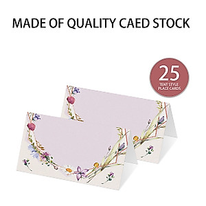 Place Cards for Floral Party, Editable Name Place Cards, Seating Place Cards for Tables, Tent Style Cards for Wedding, Valentine's Day, Bride & Baby Shower, Easy Folding, Pack of 25 Escort Cards(B10)
