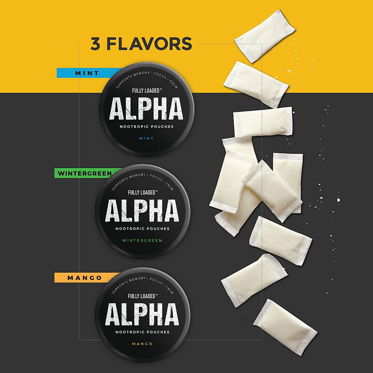 Fully Loaded Alpha Nootropic Pouches (Mint) - 5 Cans - 15 Pouches per can - Effective Nootropic Delivery, Nic Pouch Replacement - Faster Absorption, Alpha GPC, L-Tyrosine, GABA