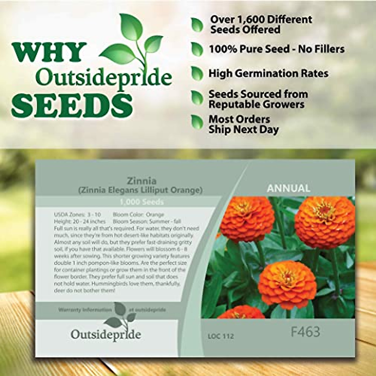 Outsidepride Zinnia Elegans Lilliput Orange Heat & Drought Tolerant Garden Cut Flowers - 1000 Seeds